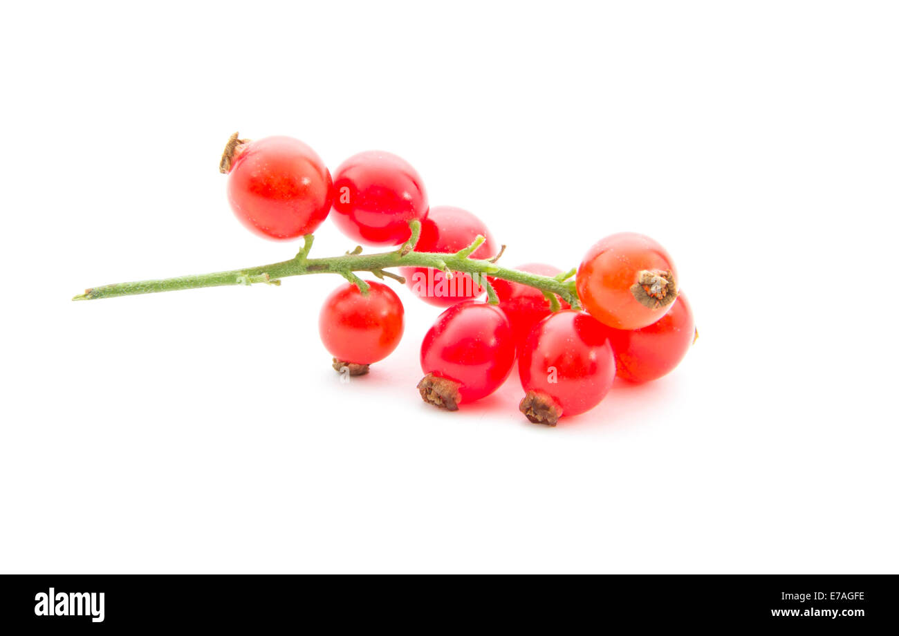 Red Currants Cluster High Resolution Stock Photography and Images - Alamy