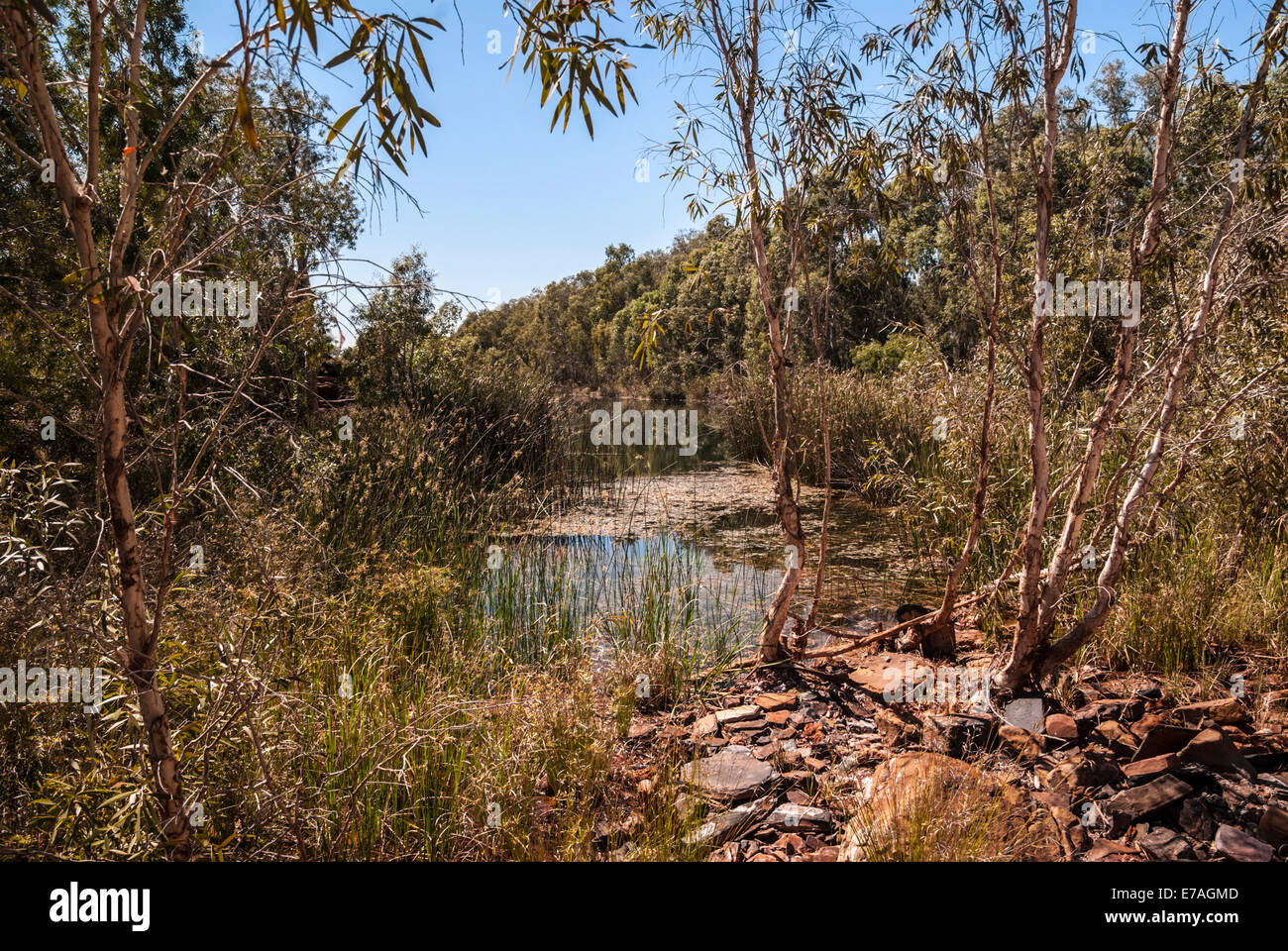 MILLSTREAM CHICHESTER NATIONAL PARK, PILBARA REGION, NORTH WEST ...