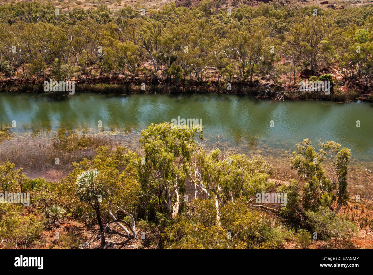 MILLSTREAM CHICHESTER NATIONAL PARK, PILBARA REGION, NORTH WEST ...
