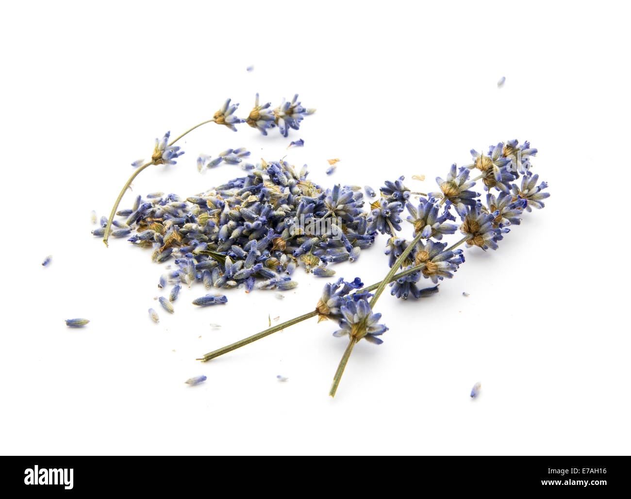 dry lavender isolated on white background Stock Photo - Alamy
