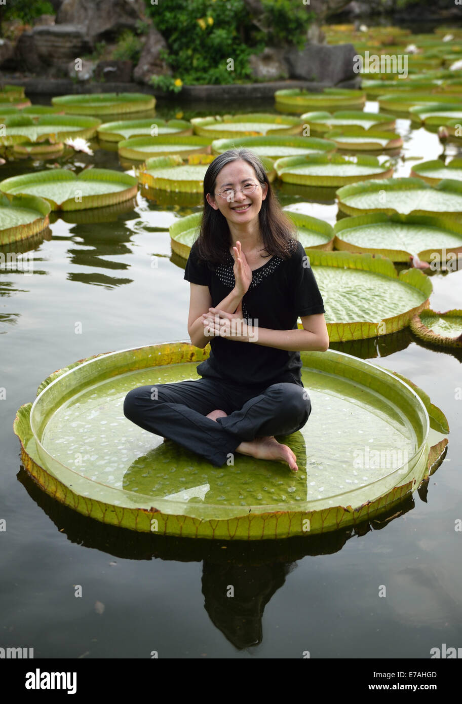 Victoria genus water lilies large hi-res stock photography and images ...