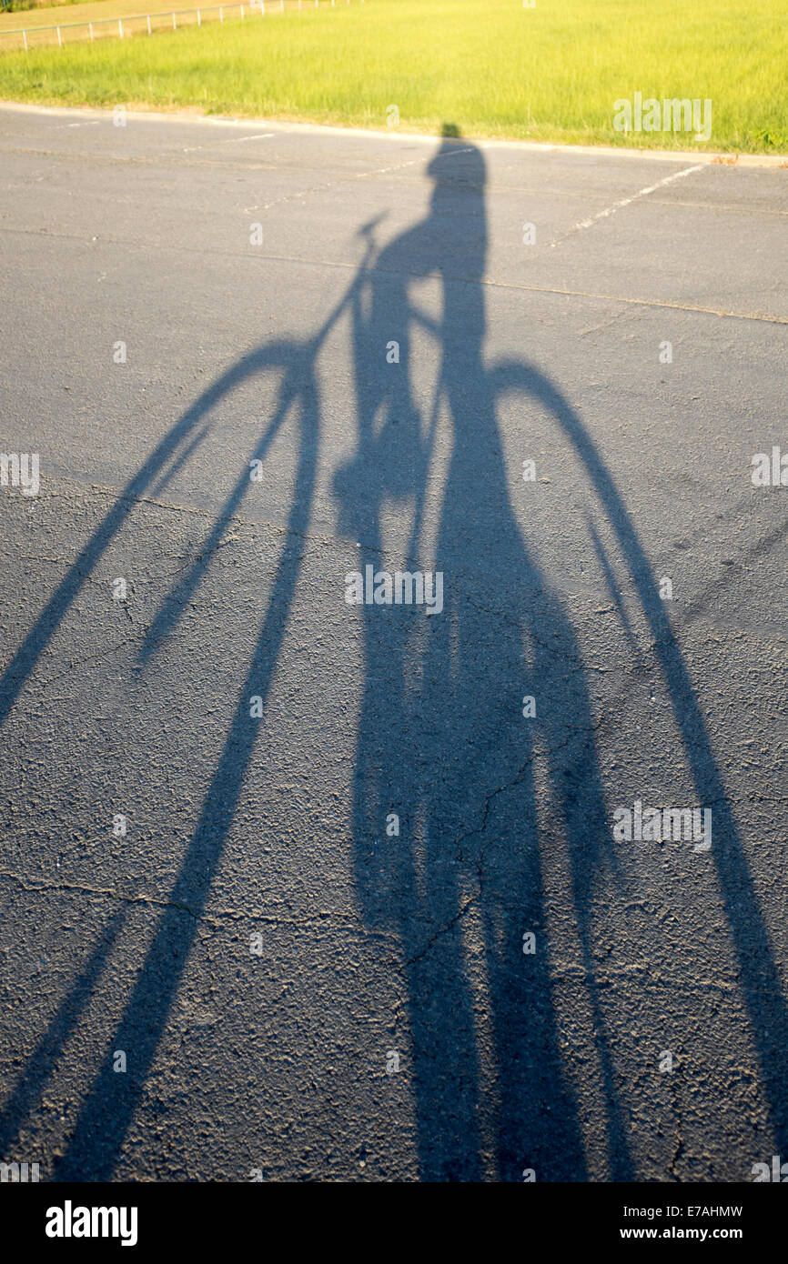 Cyclist Sunshine Shadow Evening Cycling Bike Long Stock Photo - Alamy