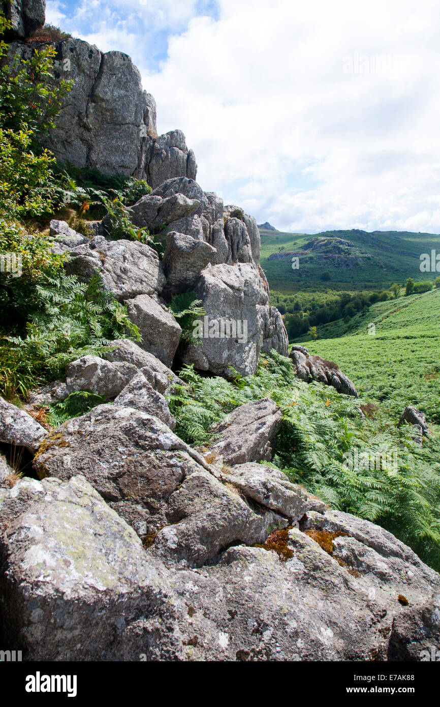 Granite rocks tor tors hi-res stock photography and images - Alamy