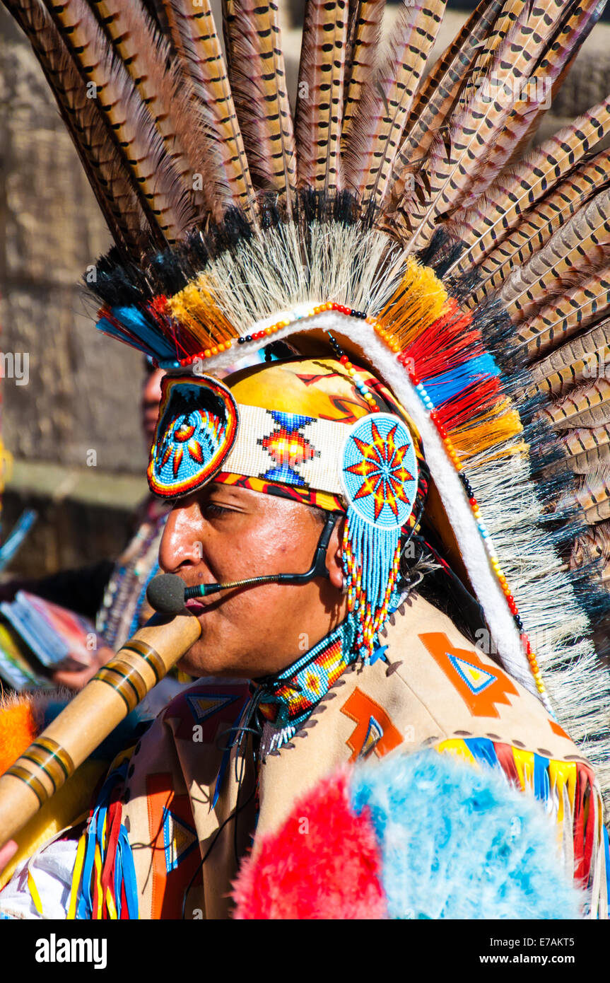 American bamboo hi-res stock photography and images - Alamy