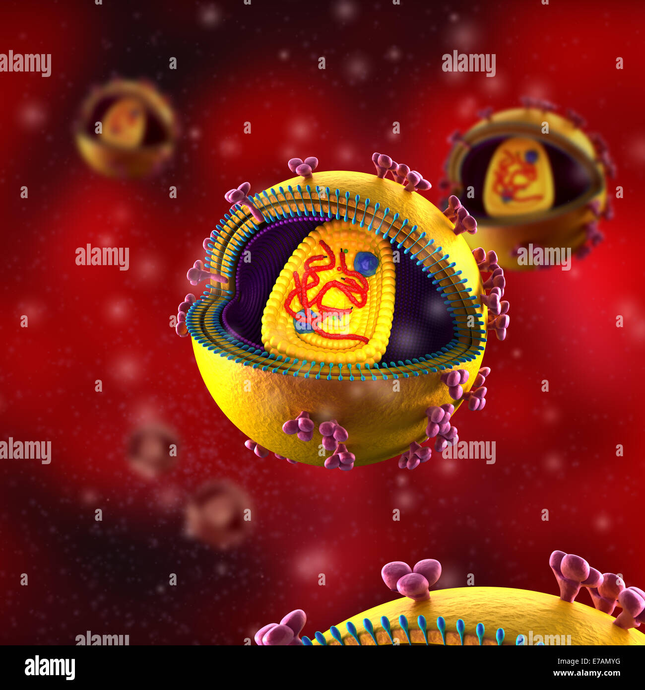 HIV Cells - in blood stream Stock Photo - Alamy