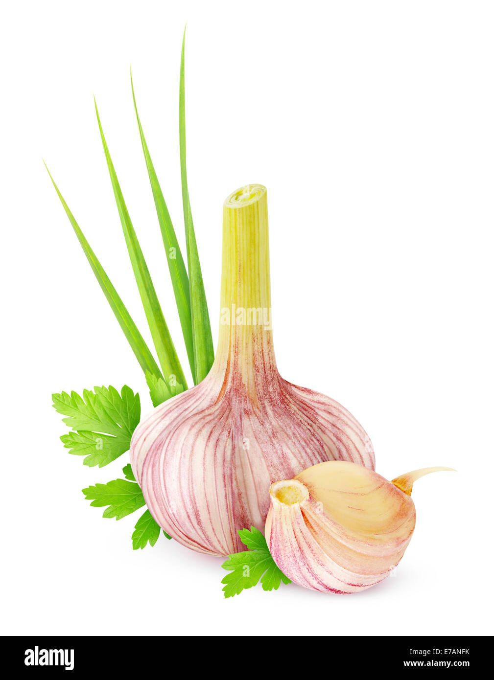 Juicy garlic Cut Out Stock Images & Pictures - Alamy