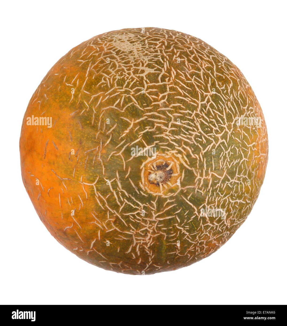 Melon shell hi-res stock photography and images - Alamy