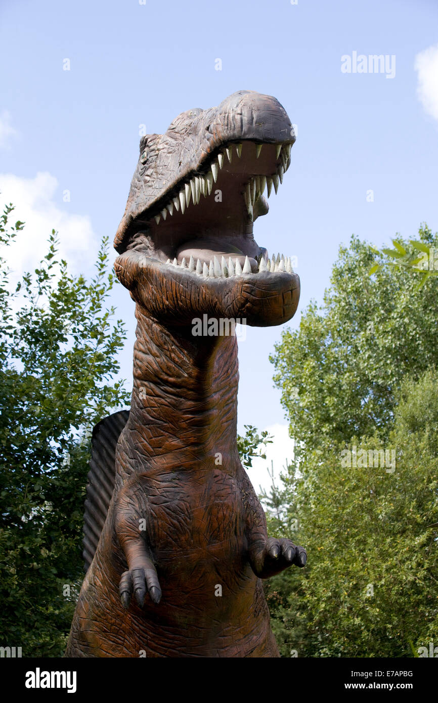 Tyrannosaurus statue hi-res stock photography and images - Alamy