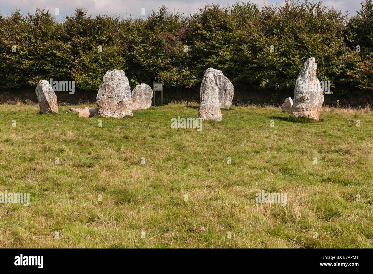 DULOE STONE CIRCLE, DULOE, CORNWALL, BRONZE AGE, ENGLAND, BRITAIN Stock ...