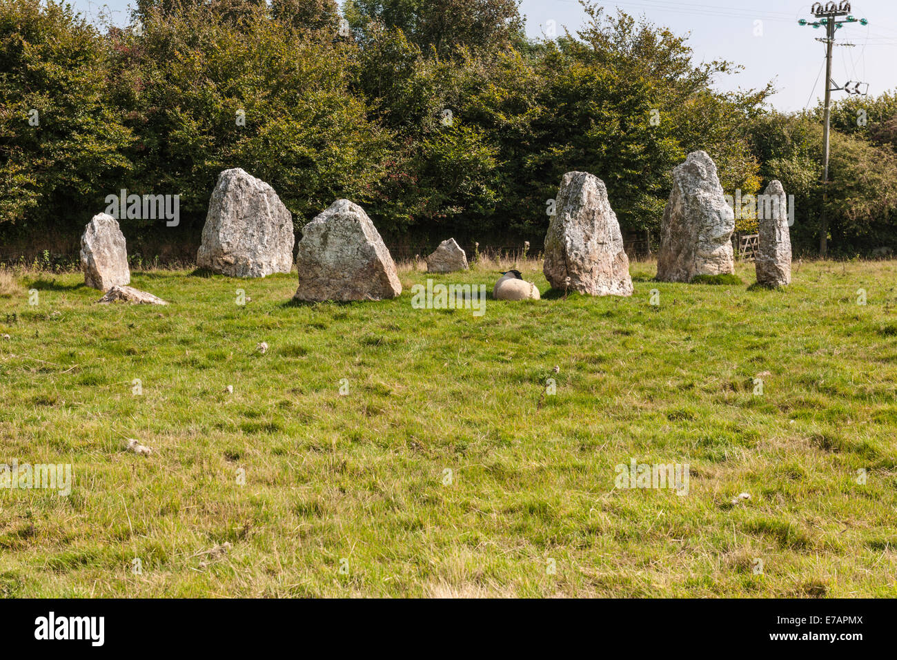 DULOE STONE CIRCLE, DULOE, CORNWALL, BRONZE AGE, ENGLAND, BRITAIN Stock ...