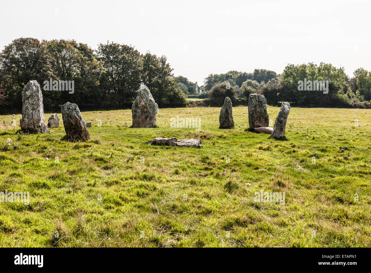 DULOE STONE CIRCLE, DULOE, CORNWALL, BRONZE AGE, ENGLAND, BRITAIN Stock ...