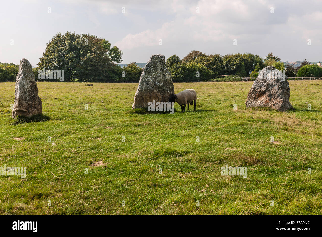DULOE STONE CIRCLE, DULOE, CORNWALL, BRONZE AGE, ENGLAND, BRITAIN Stock ...