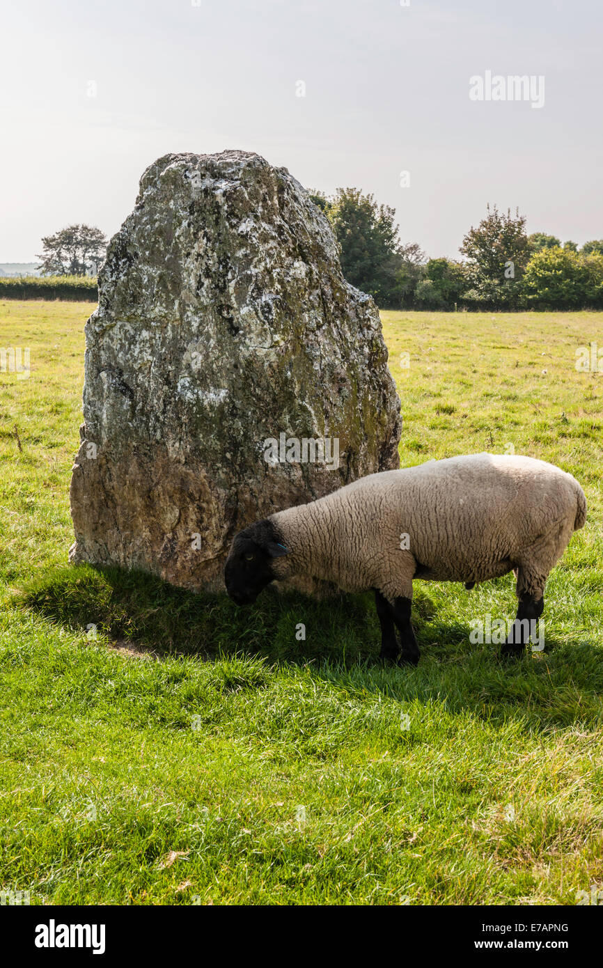 DULOE STONE CIRCLE, DULOE, CORNWALL, BRONZE AGE, ENGLAND, BRITAIN Stock ...