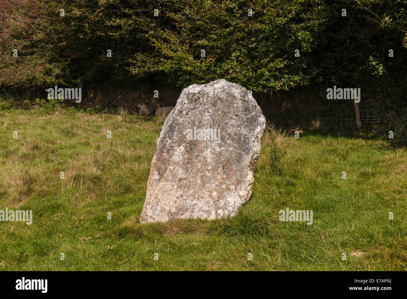 Duloe stone circle hi-res stock photography and images - Alamy