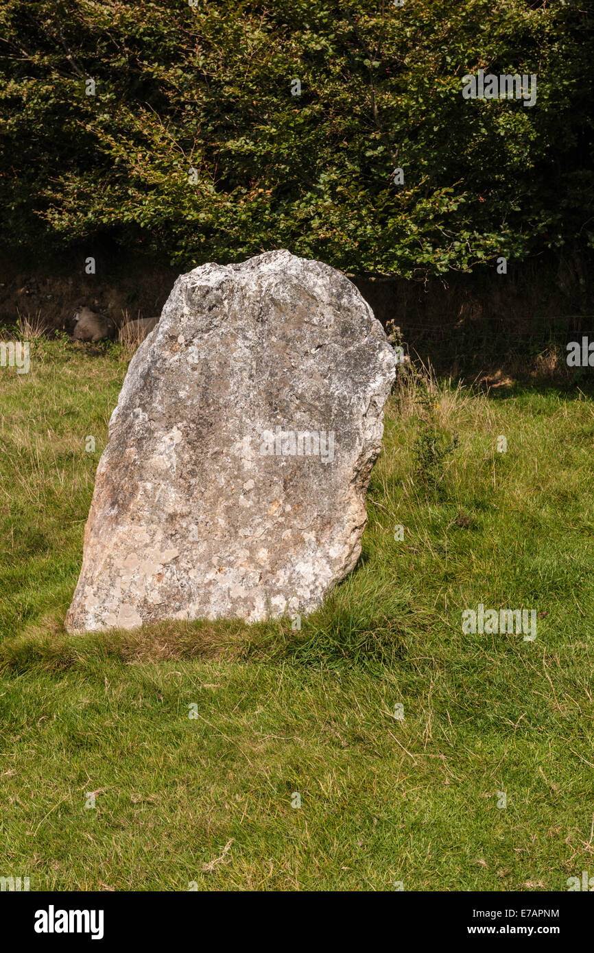 DULOE STONE CIRCLE, DULOE, CORNWALL, BRONZE AGE, ENGLAND, BRITAIN Stock ...