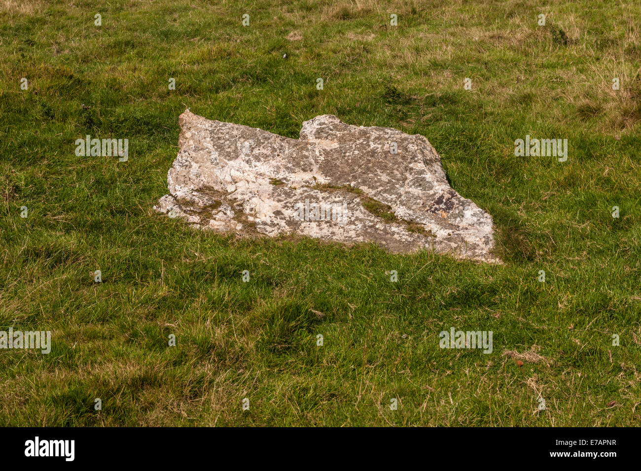 DULOE STONE CIRCLE, DULOE, CORNWALL, BRONZE AGE, ENGLAND, BRITAIN Stock ...