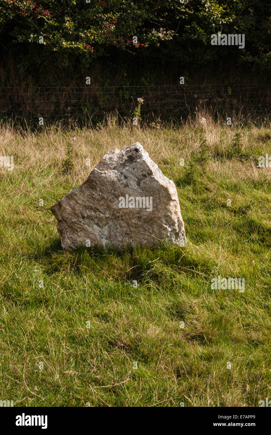 DULOE STONE CIRCLE, DULOE, CORNWALL, BRONZE AGE, ENGLAND, BRITAIN Stock ...