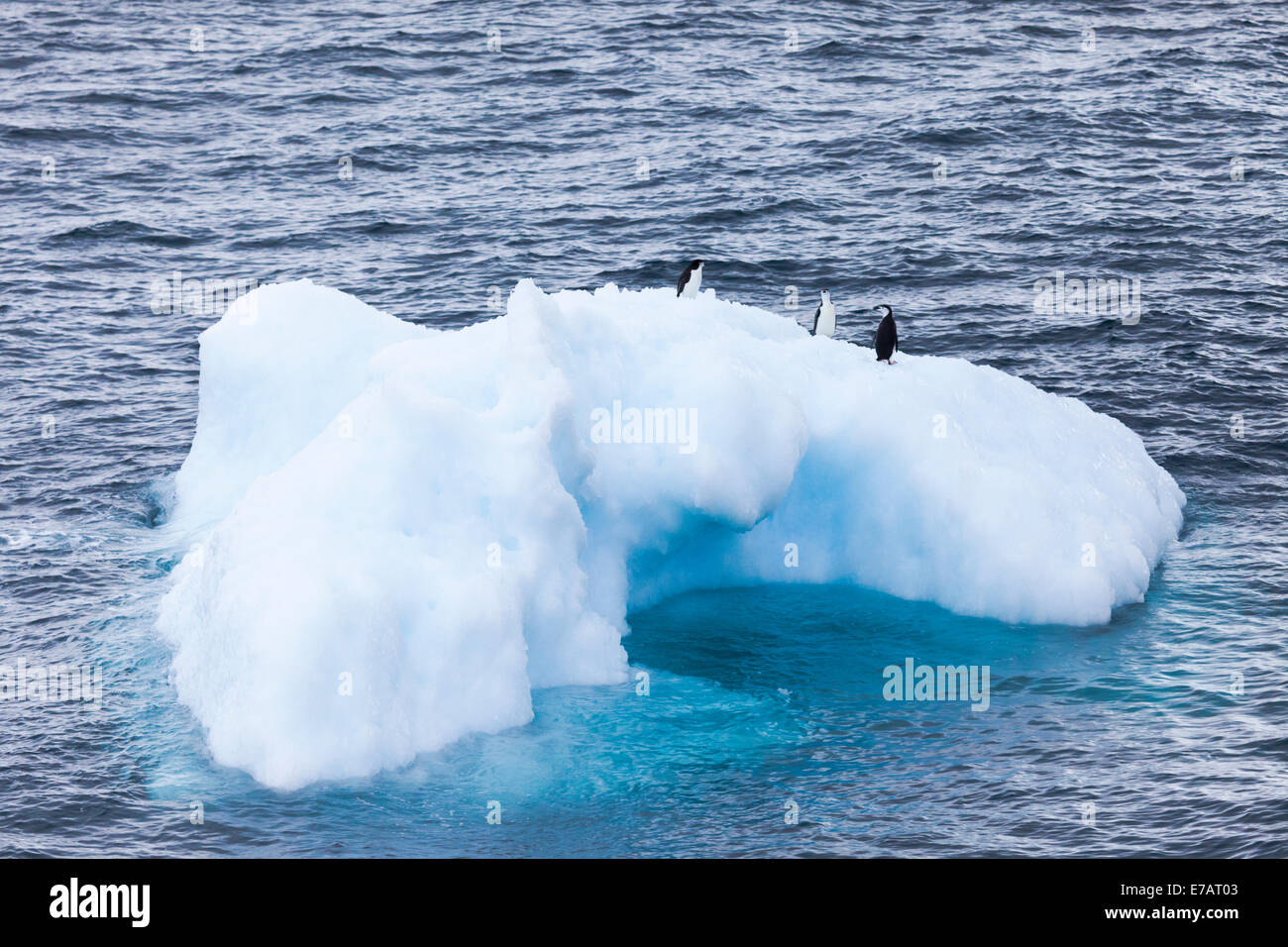 Small iceberg hi-res stock photography and images - Alamy