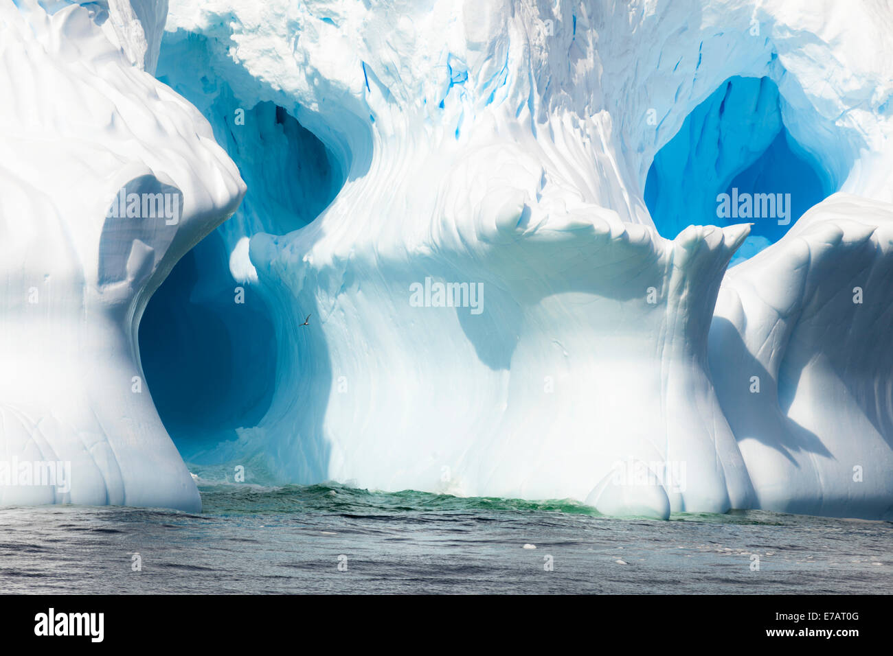 Adelaide island antarctica hi-res stock photography and images - Alamy