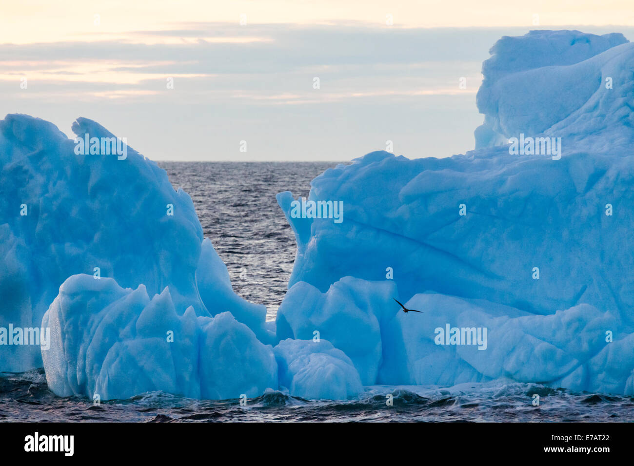 Marguerite Bay Antarctica High Resolution Stock Photography and Images - Alamy