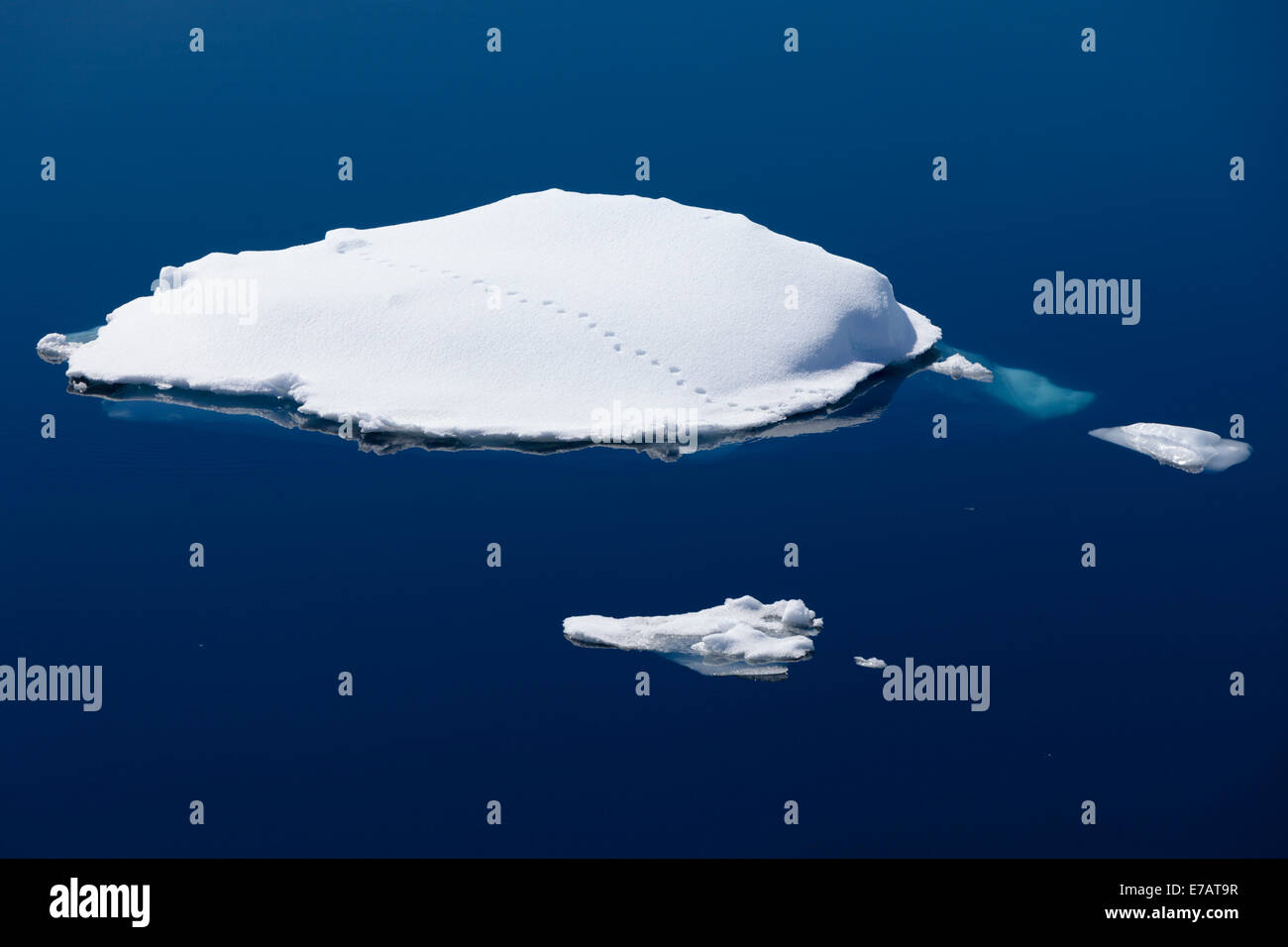 The Gullet, Antarctica, a narrow channel which separates Adelaide ...