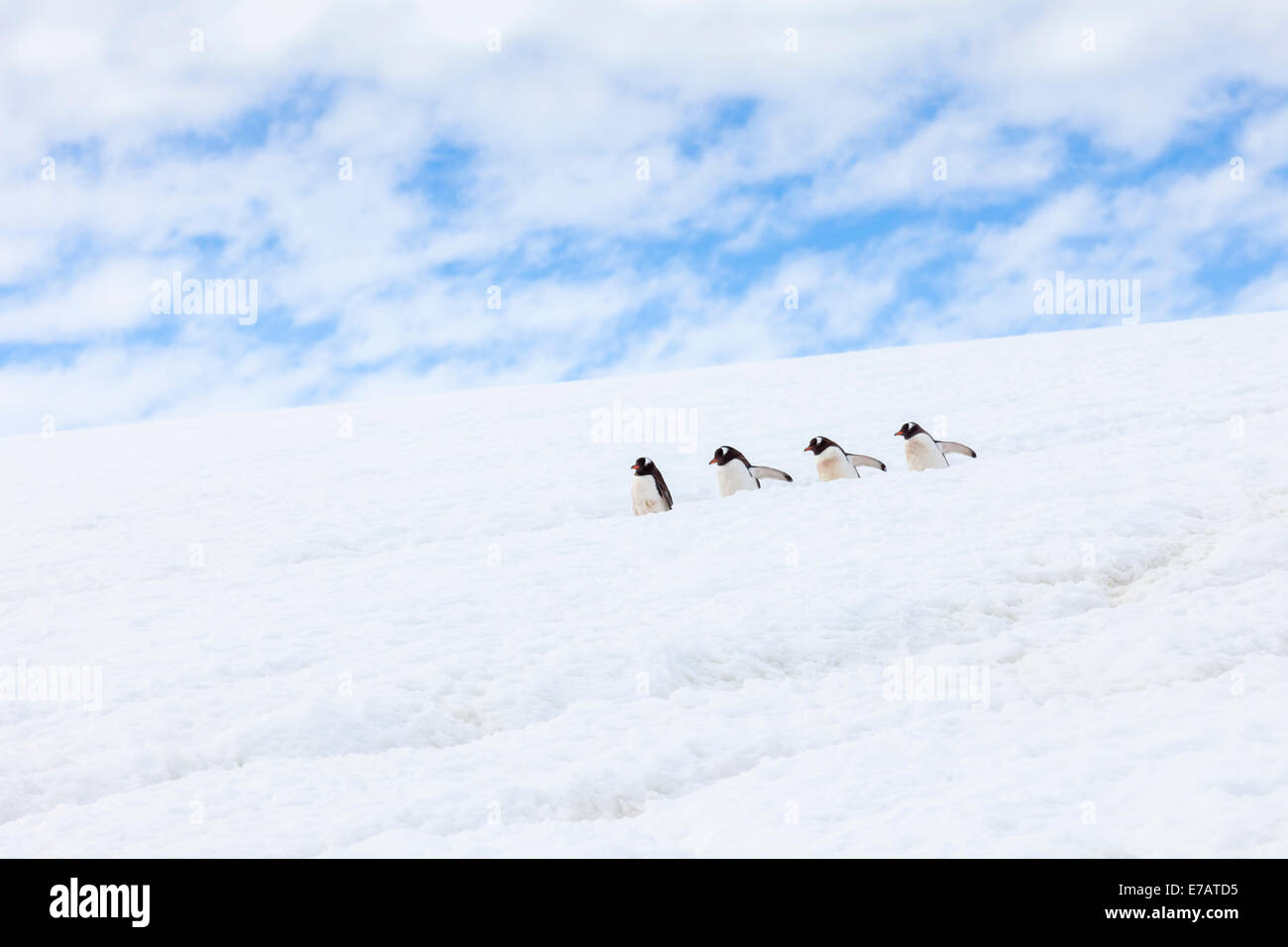 Calming path hi-res stock photography and images - Alamy