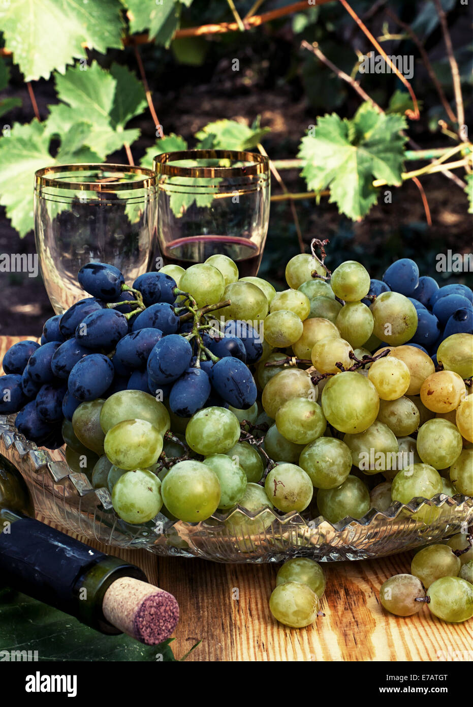 vine ripe grapes on the background of sunlight Stock Photo - Alamy