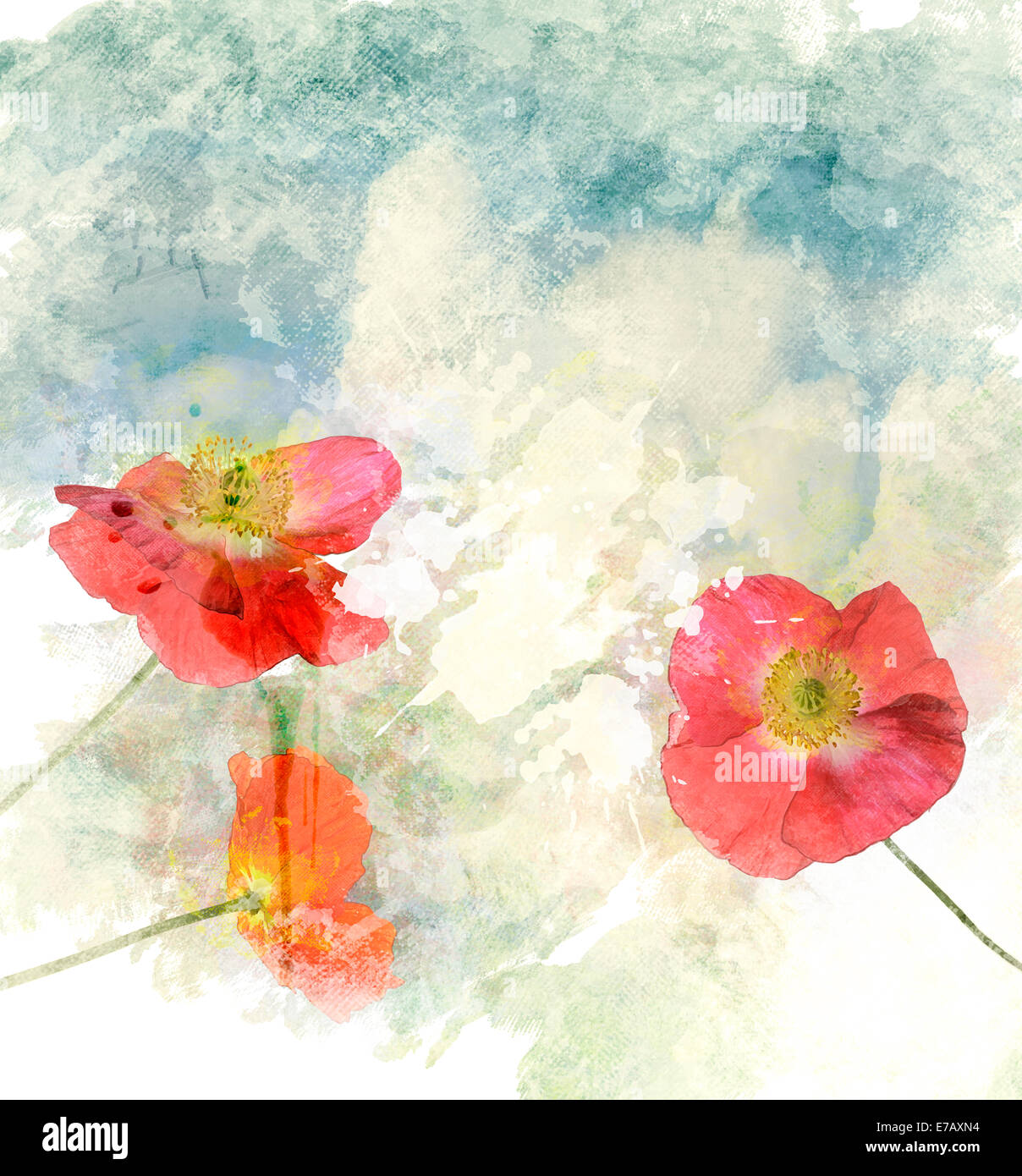 Watercolor Digital Painting Of Poppy Flowers Stock Photo - Alamy