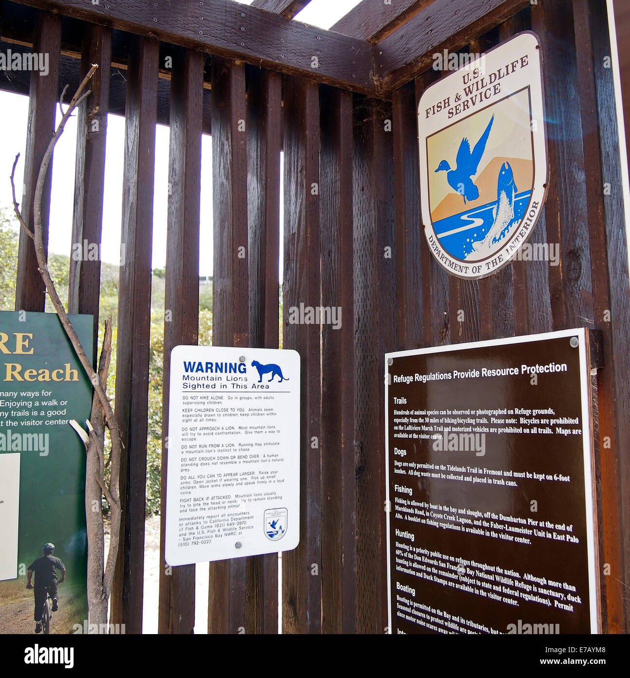 Mountain lion warning sign Stock Photo - Alamy
