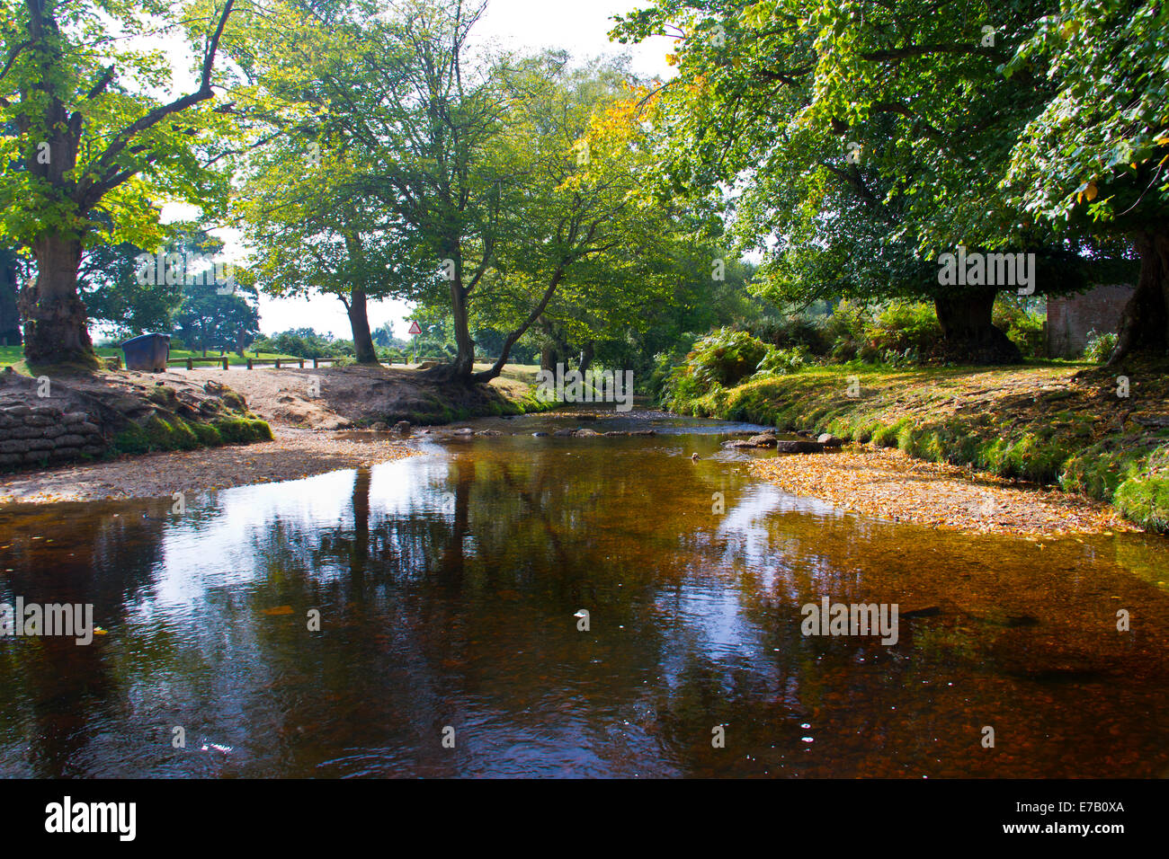 New Forest and Hamble Stock Photo - Alamy