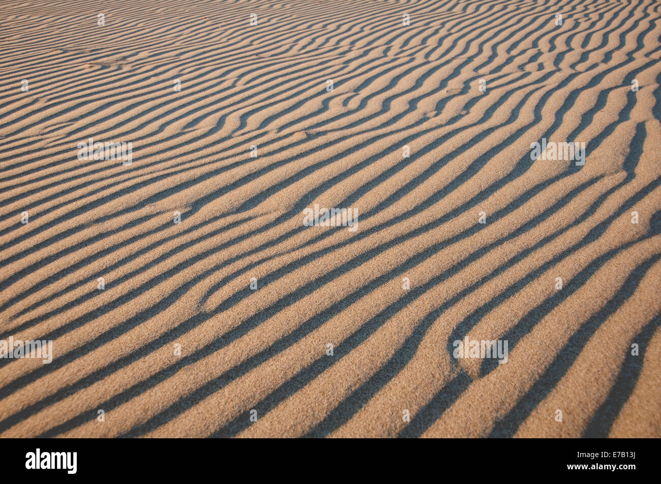 Wind blown sands hi-res stock photography and images - Alamy