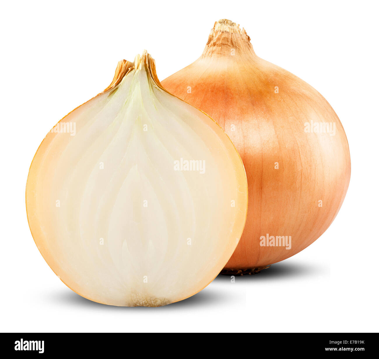 Fresh onion bulbs isolated on white background Stock Photo - Alamy