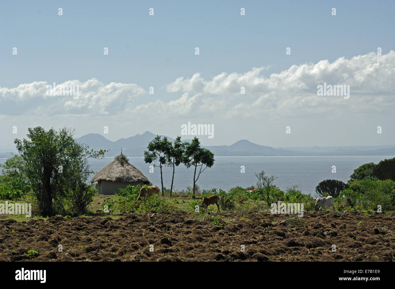 Rural homestead africa hi-res stock photography and images - Alamy