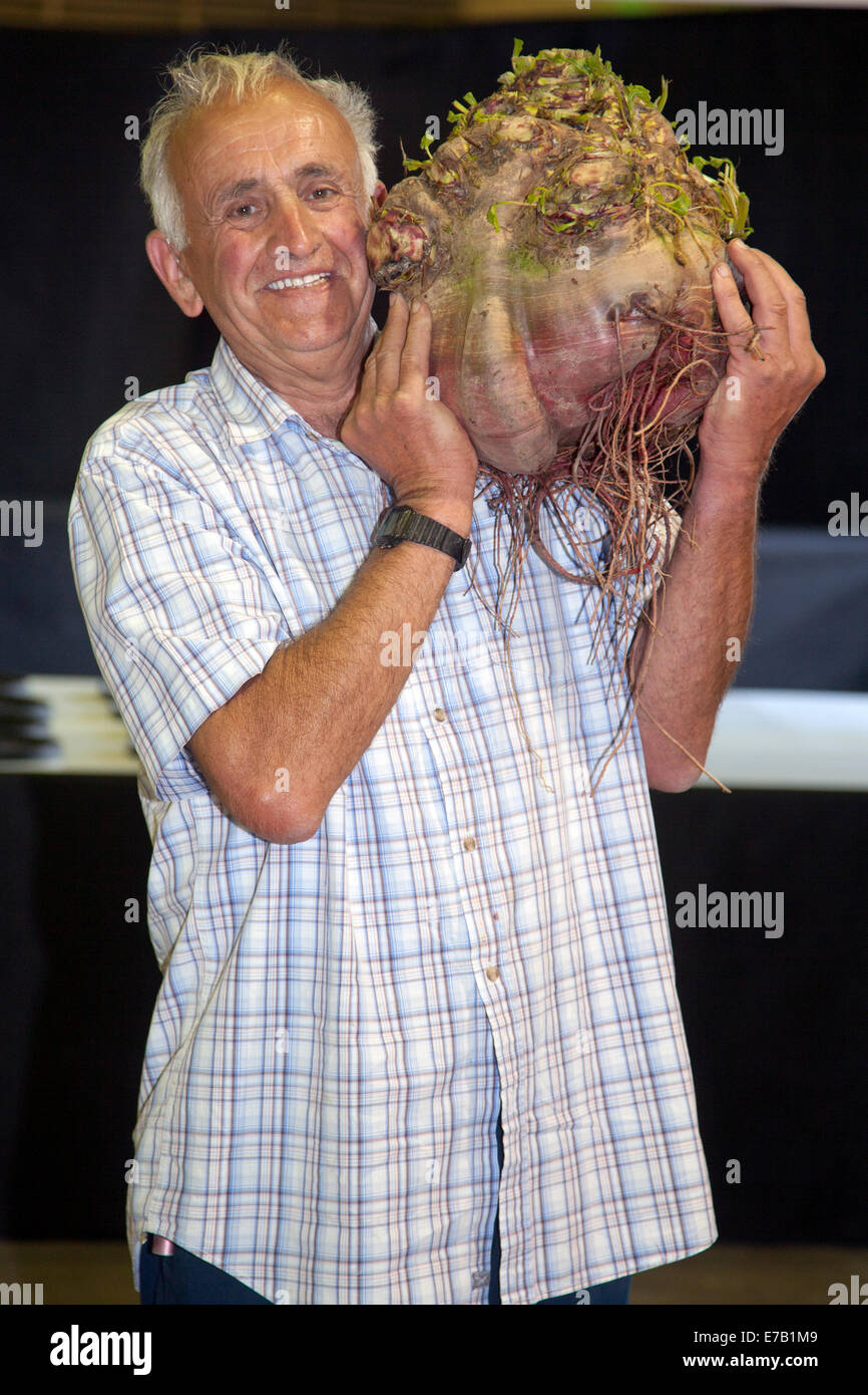 Harrogate, Yorkshire, UK. 11th Sept, 2014. Ian Neale with Giant ...