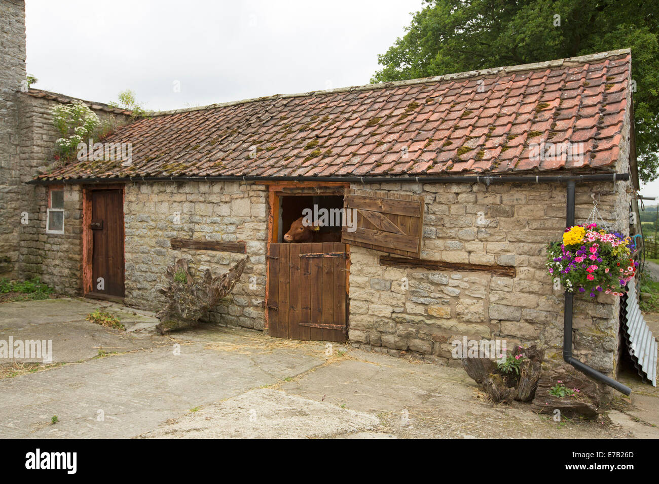 Old english farmyard hi-res stock photography and images - Alamy