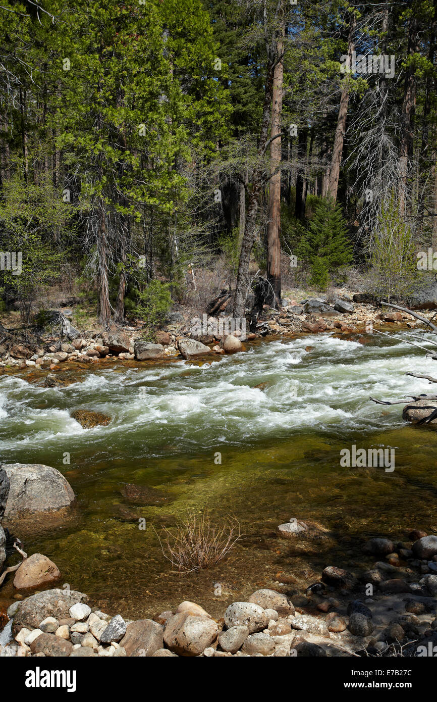 Merced River, Yosemite Valley, Yosemite National Park, California, USA ...