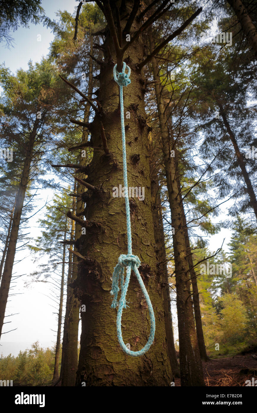 Noose Hanging From Tree