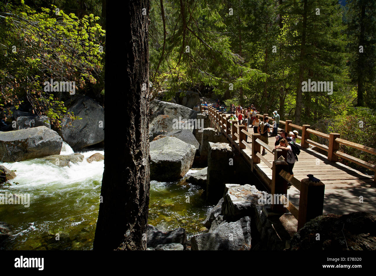 Footbridge across Merced River, on The Mist Trail, Yosemite National ...