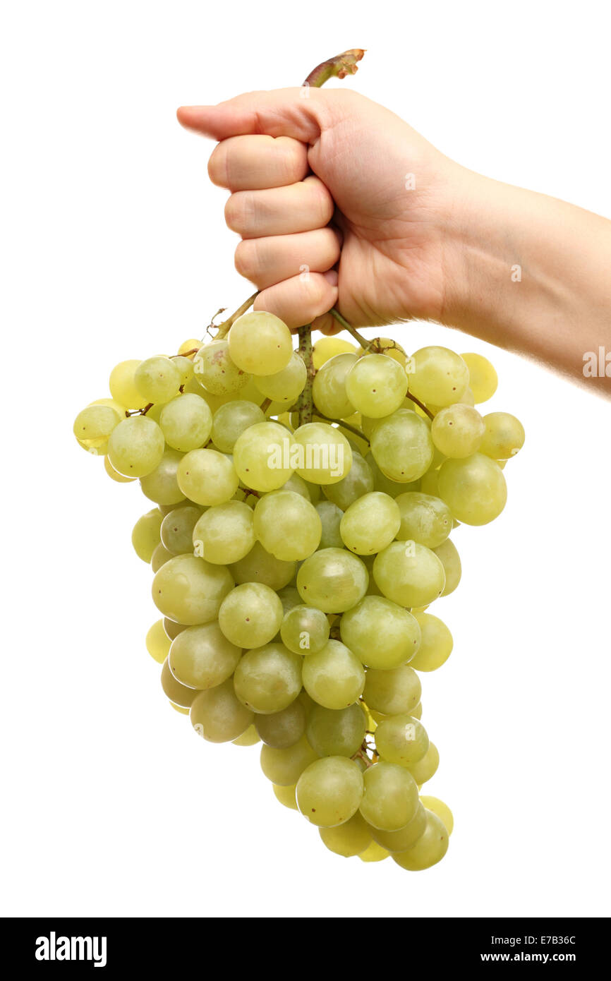 Hand holding bunch of grapes over white background. Focus on grapes. Close-up Stock Photo - Alamy