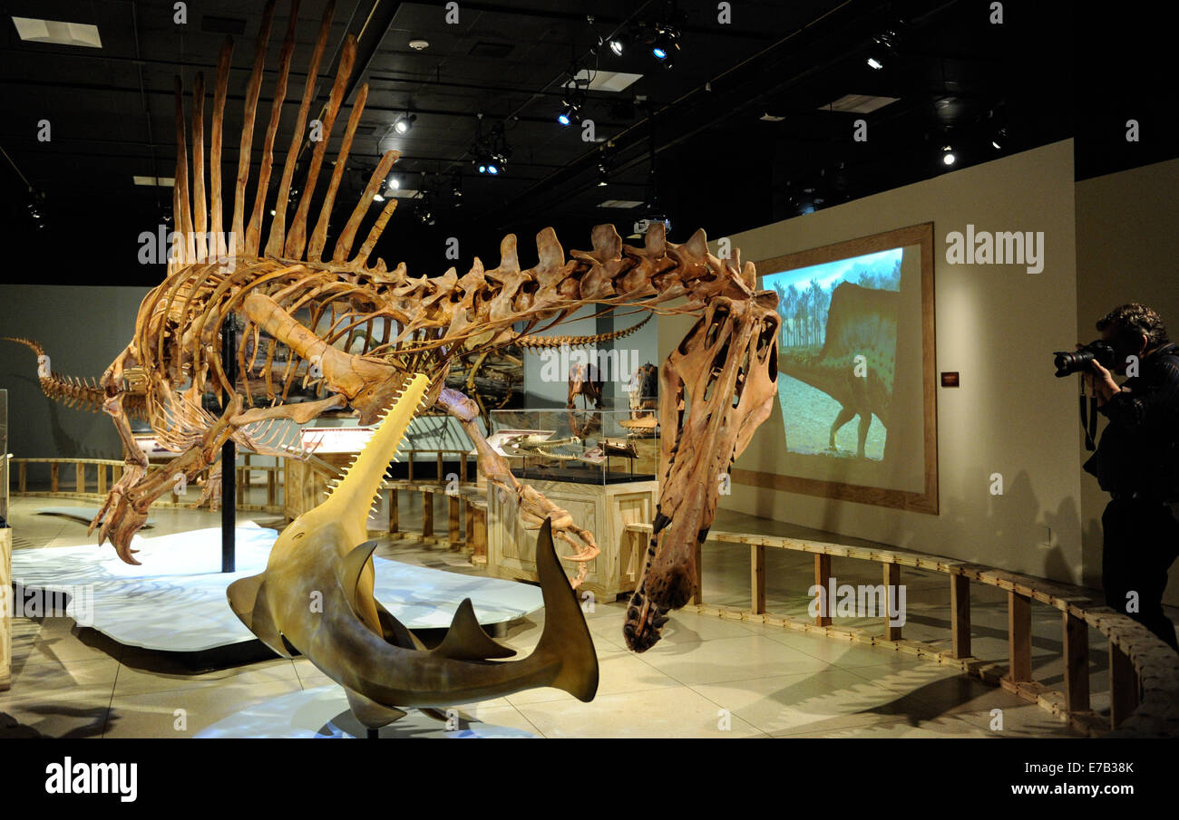 Giant Skeletons National Geographic