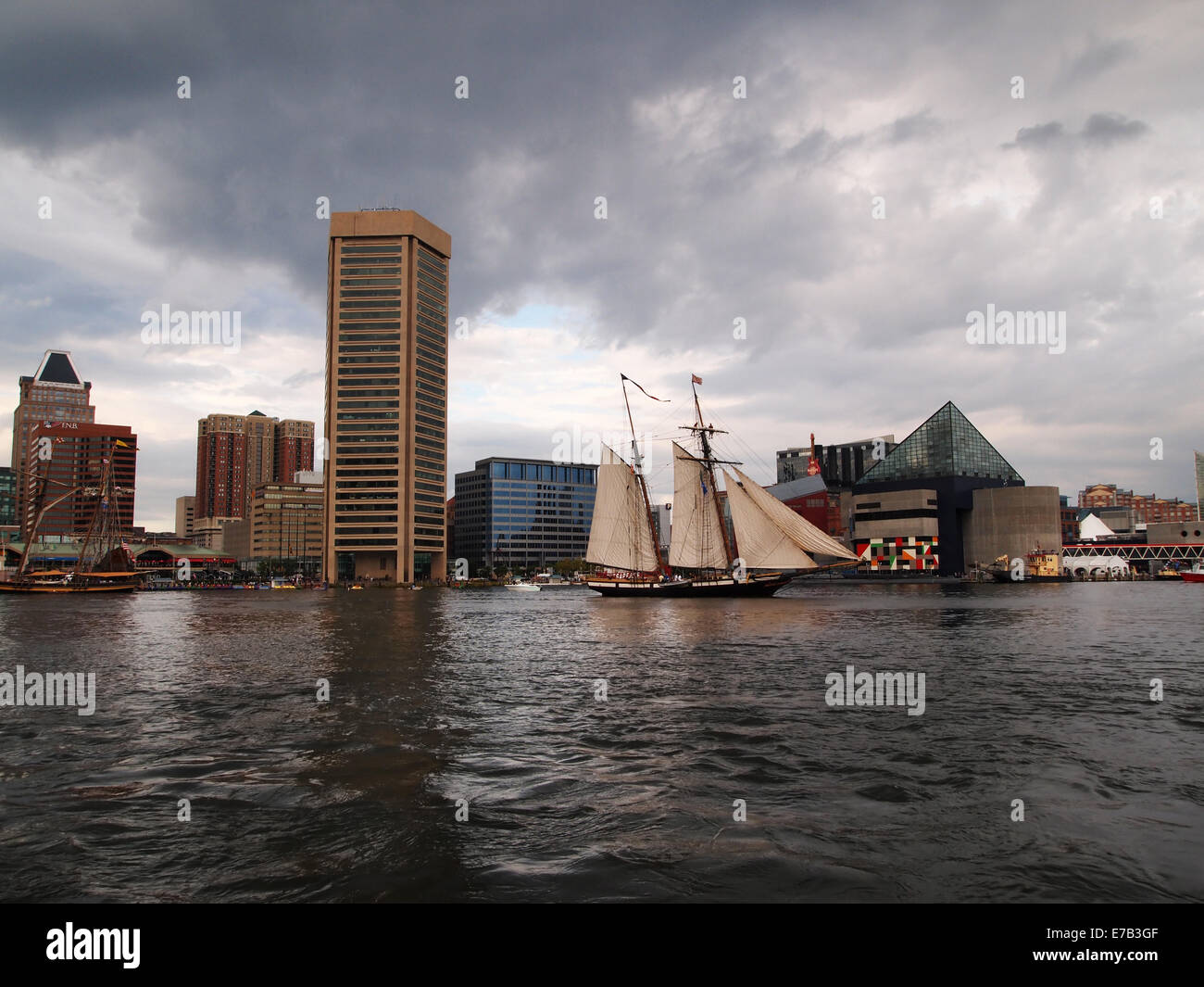 Tall ship lynx hi-res stock photography and images - Alamy