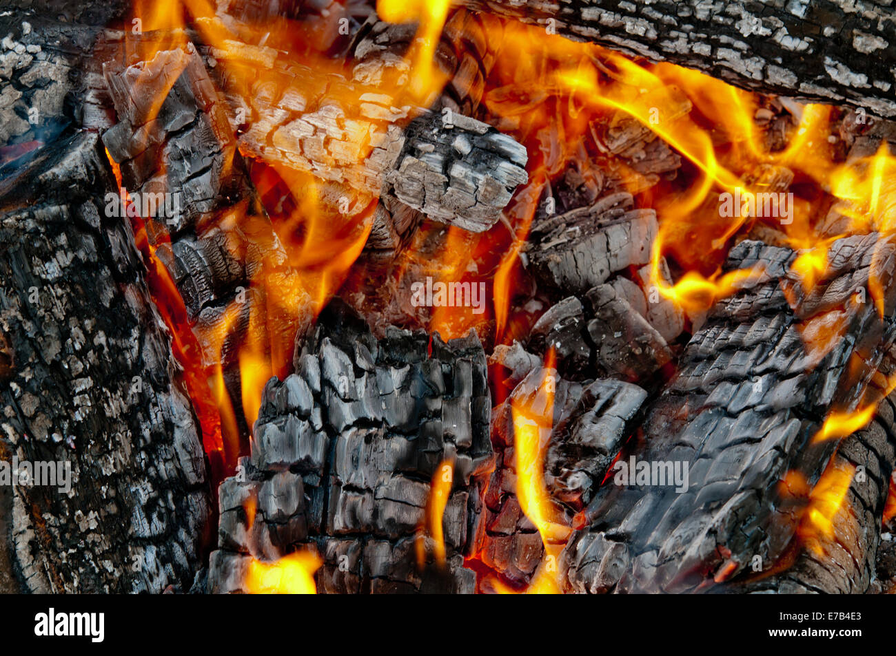 red wild fire close up Stock Photo - Alamy