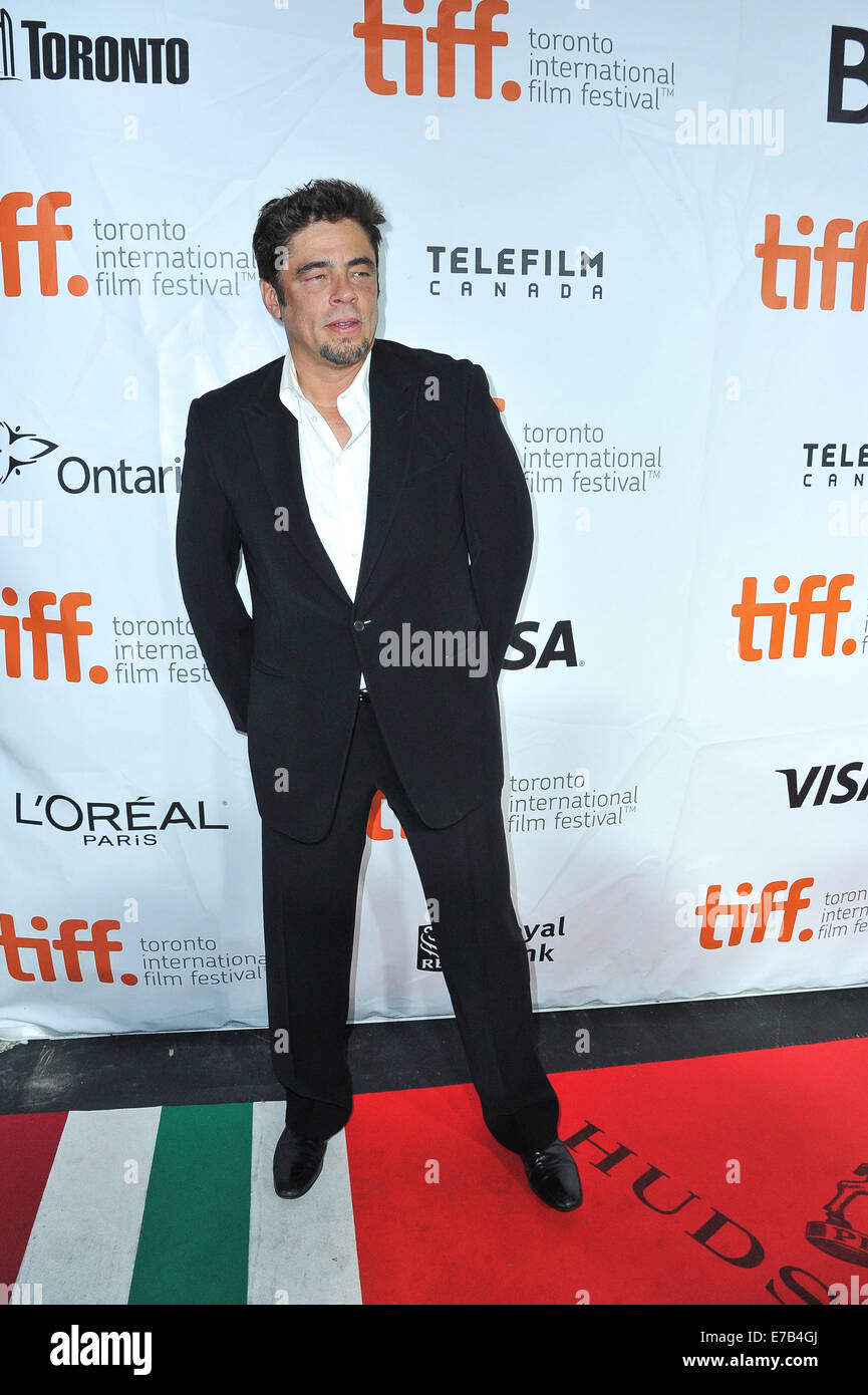 Toro roy hi-res stock photography and images - Alamy