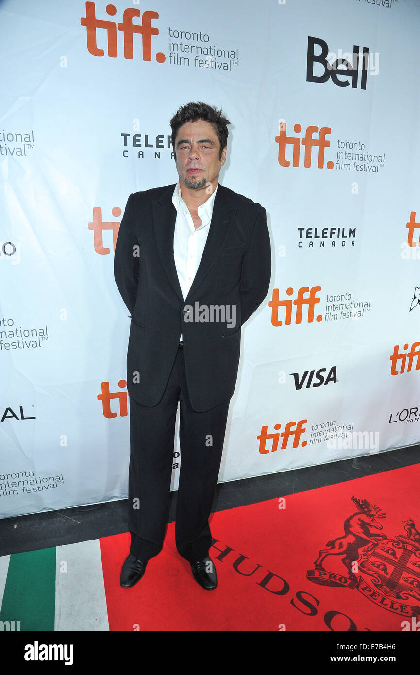 Toro roy hi-res stock photography and images - Alamy