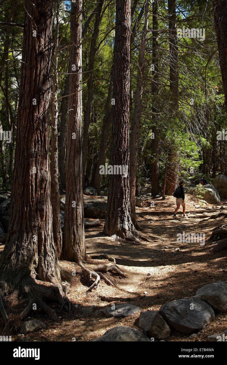 Hikers in forest on The Mist Trail to Vernal Fall and Nevada Fall ...