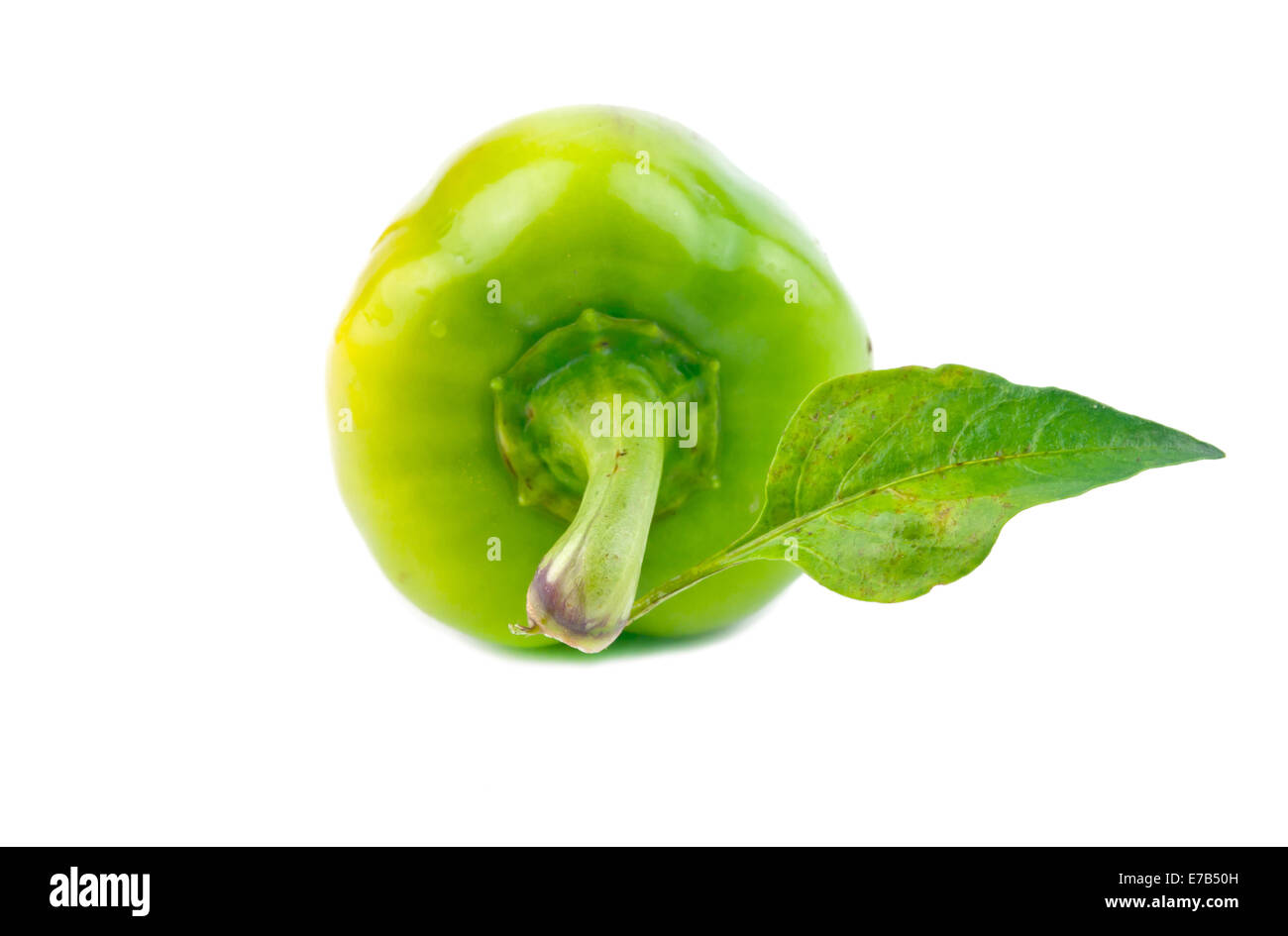 green sweet pepper with leaf on a white background Stock Photo - Alamy