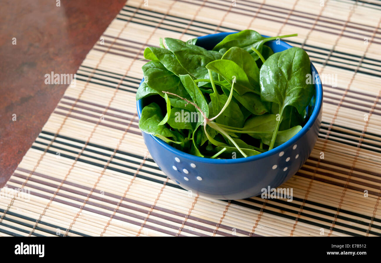 Closeup spinach plant hi-res stock photography and images - Alamy