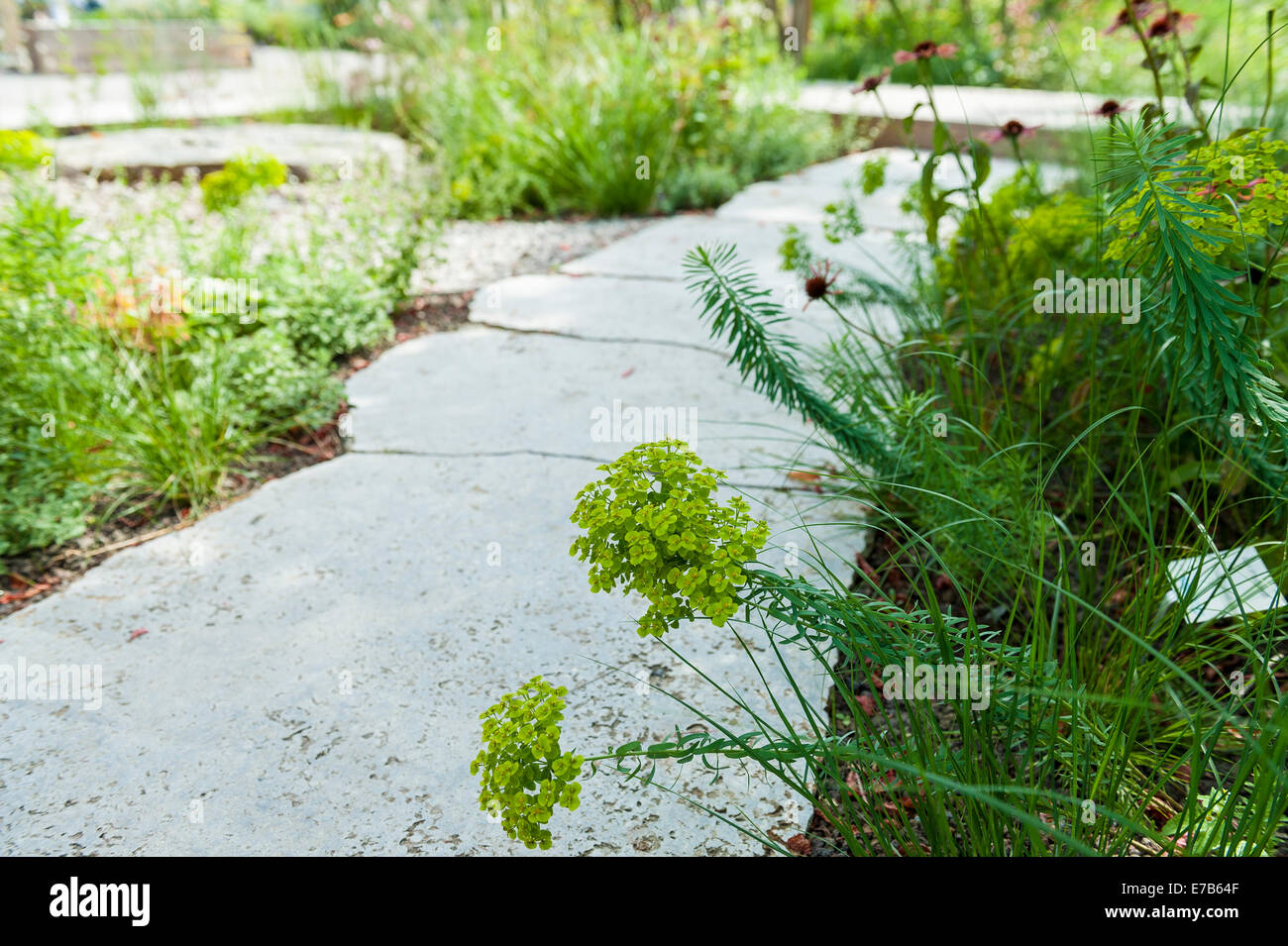 Stony Garden Path Stock Photo - Alamy
