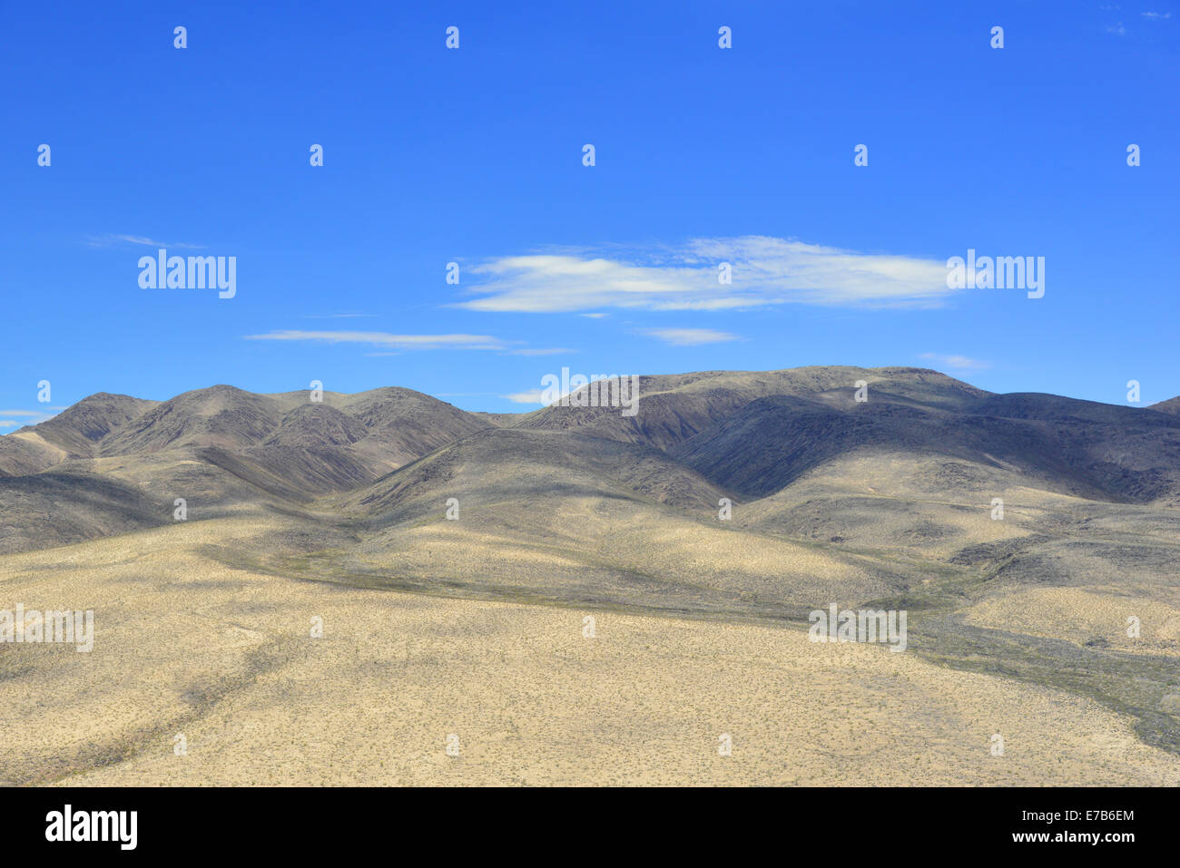 Mojave Desert, Nevada Stock Photo - Alamy