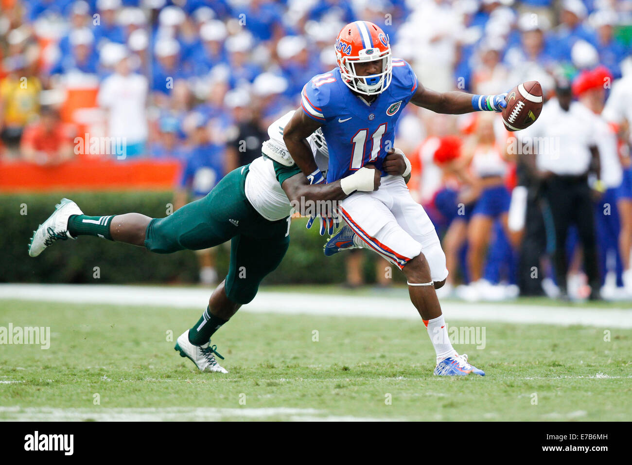 Great ibe hi-res stock photography and images - Alamy